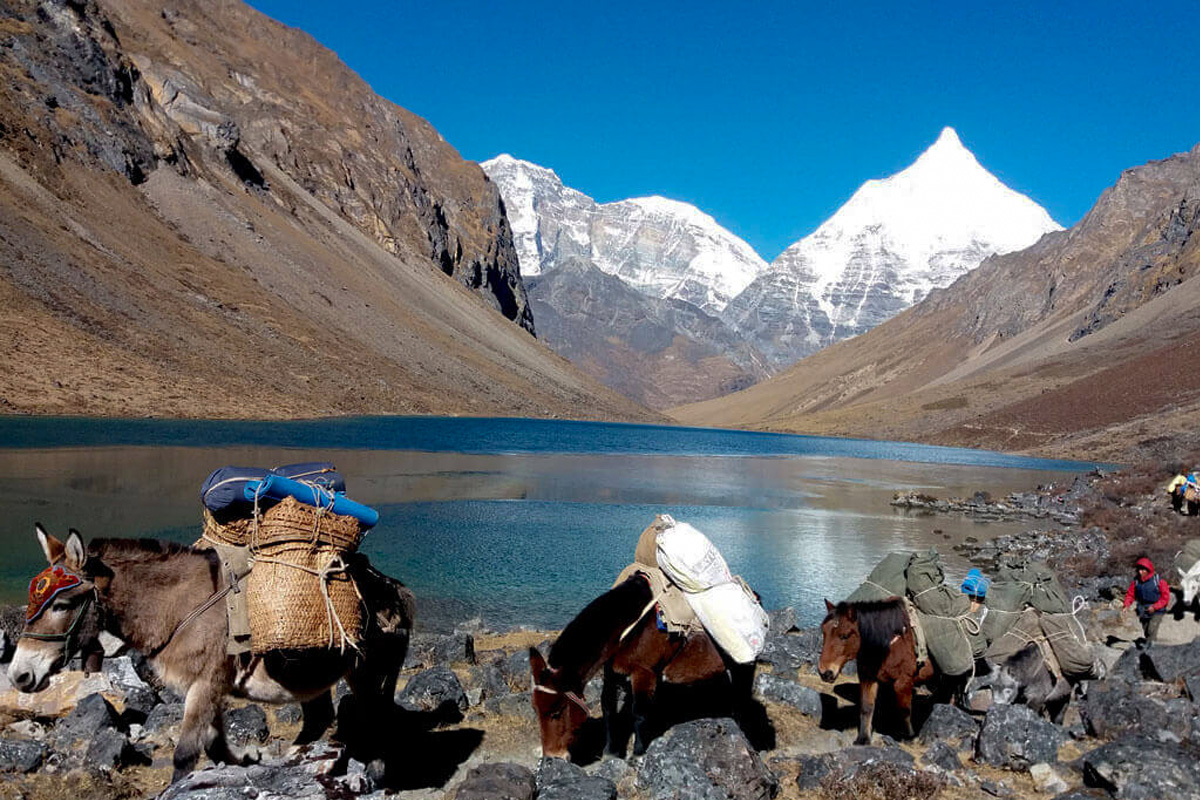 Discovering the Majestic Trails: Best Trekking Destinations in Bhutan ...