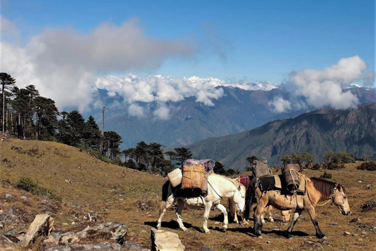 Discovering the Majestic Trails: Best Trekking Destinations in Bhutan ...