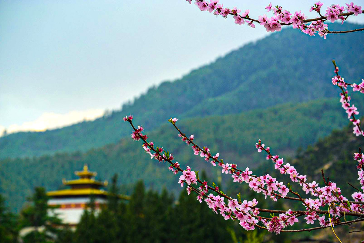 Best Time to Visit Bhutan 2024 | Peak Season, Shoulder Season ...