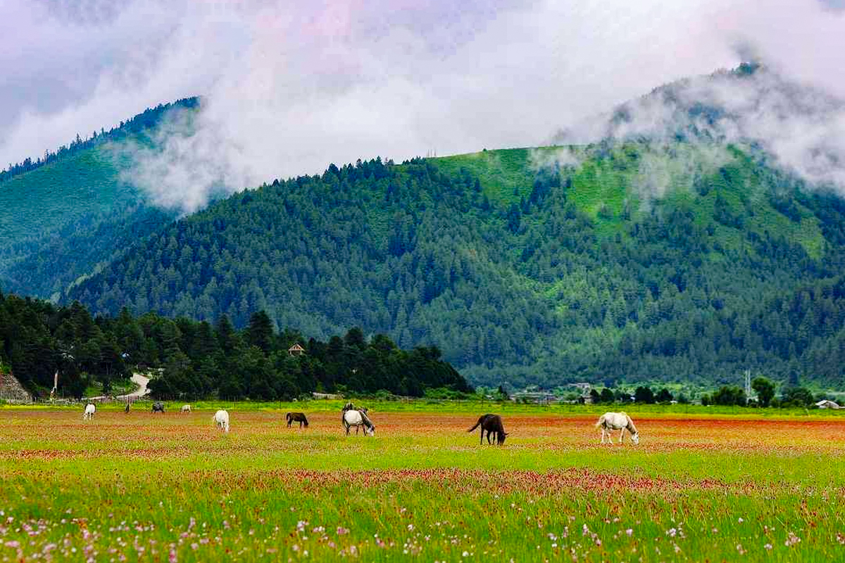 Dhorpatan Hunting Reserve: The only Hunting Reserve in Nepal ...