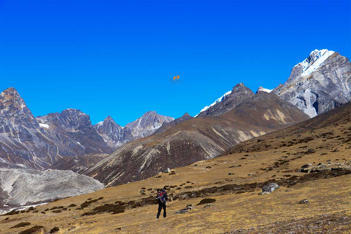 "Everest Base Camp Trek in Spring: A Seasonal Guide to EBC Trekking"