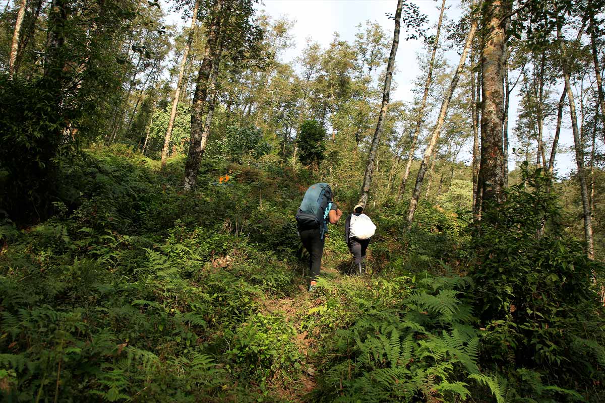 Low Impact Trekking Guidelines | All you need to know as a responsible ...