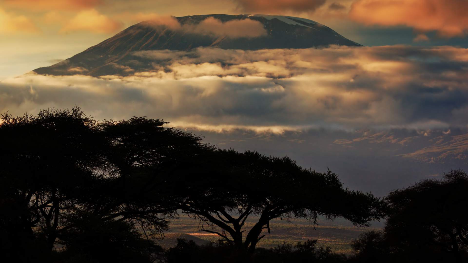 Mount Kilimanjaro Climate Zones - Footprint Adventure
