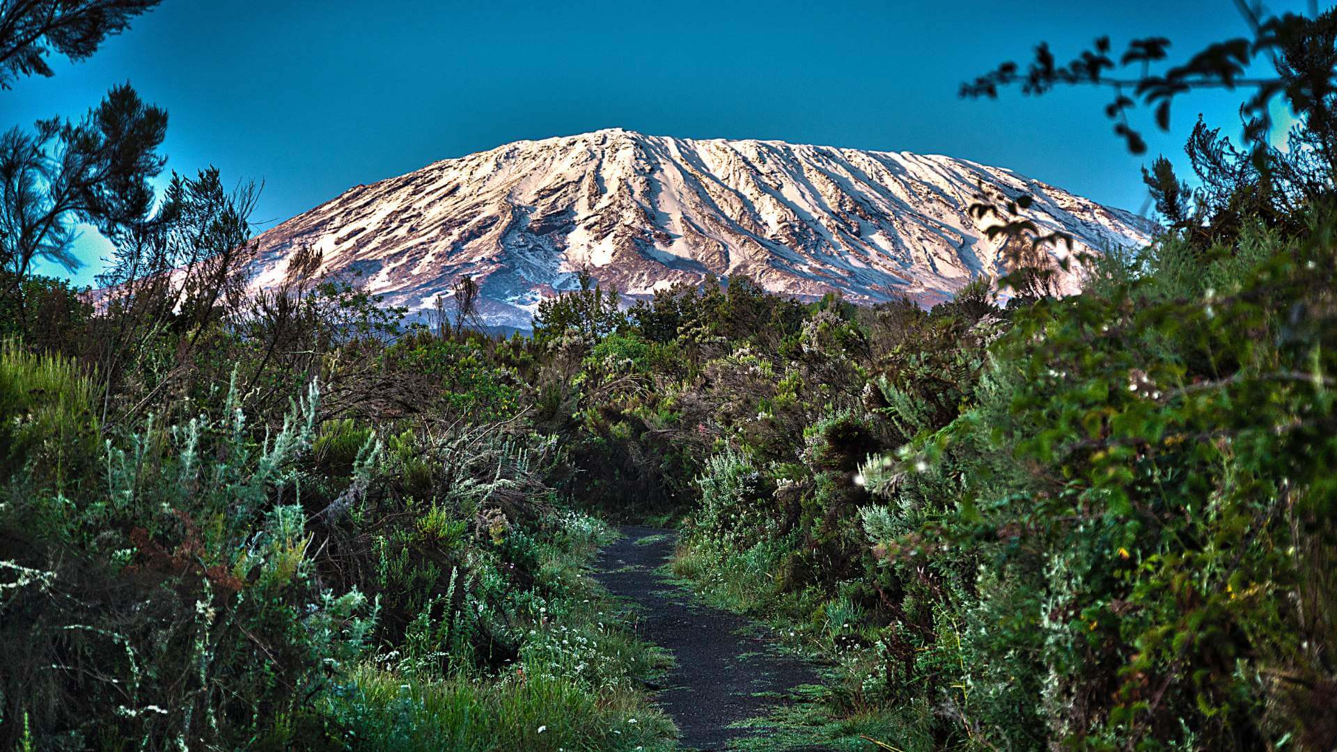 Mount Kilimanjaro Climate Zones - Footprint Adventure